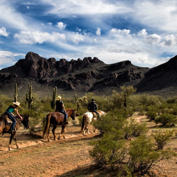 Upcoming Retreats - Unbridled Retreats